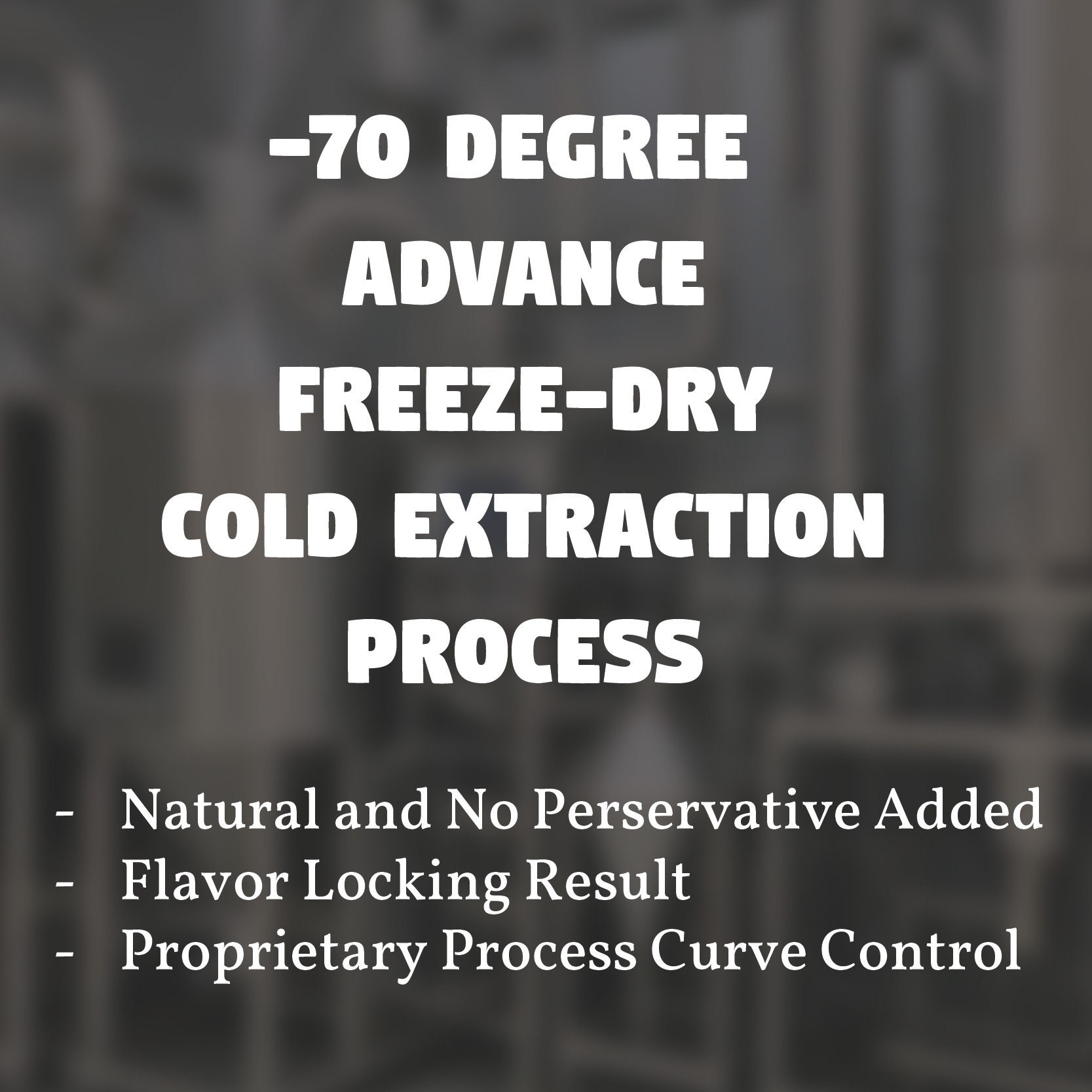 Paddy's Elephant Cold Extract Specialty Instant Coffee, Medium Roasted ...