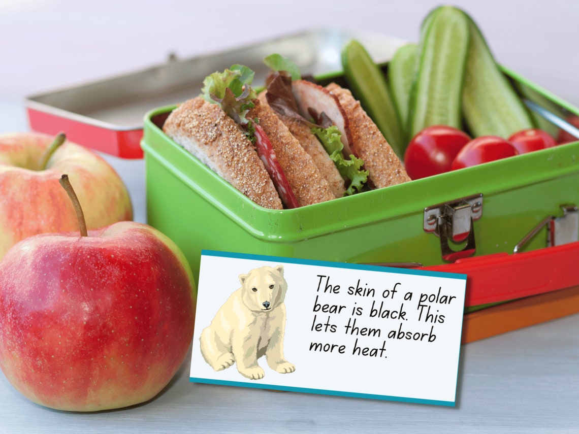 Conversation Starter Lunch Box Notes for Kids | Printable Lunchbox ...