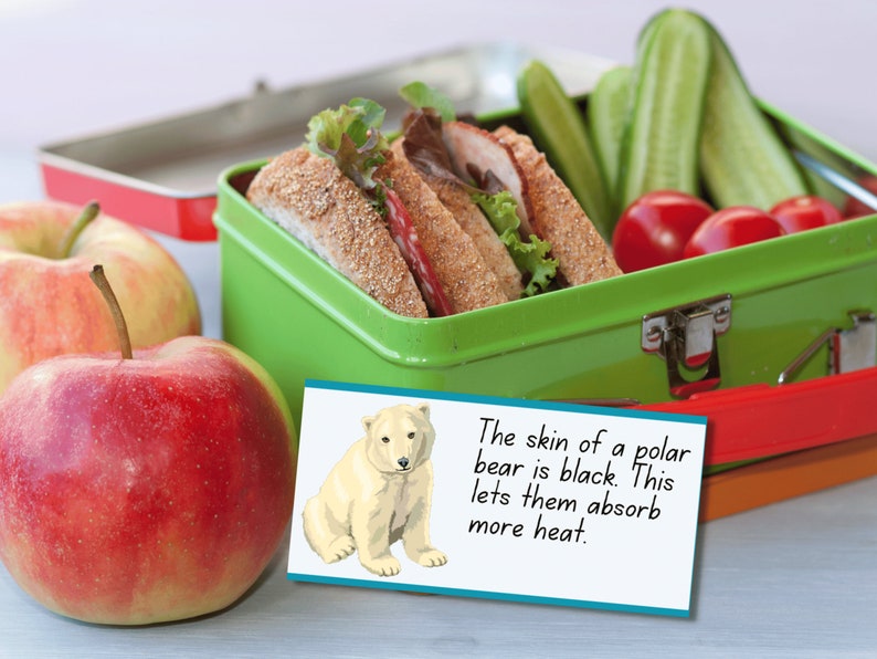 Conversation Starter Lunch Box Notes for Kids | Printable Lunchbox ...