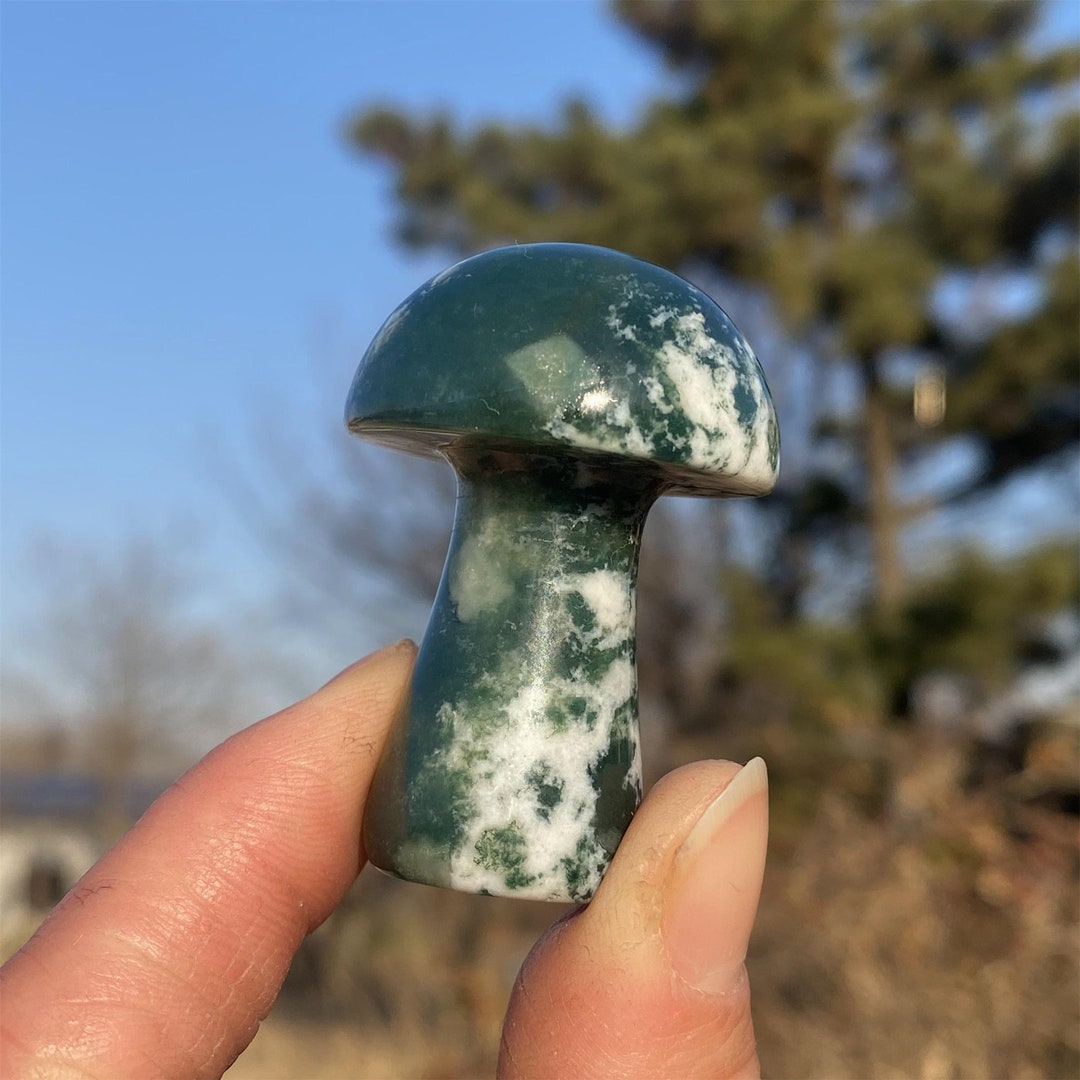 Natural Moss Agate Mushroom,quartz Crystal Mushroom,home Decoration ...