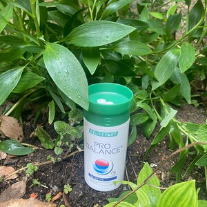 Pro Balance Your Natural Mineral Balance - Etsy