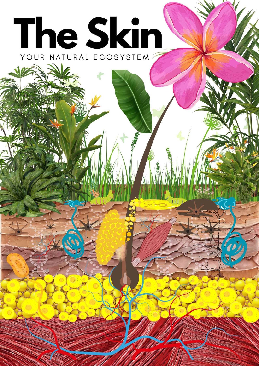 Poster of the Human Skin as a Natural Ecosystem. - Etsy