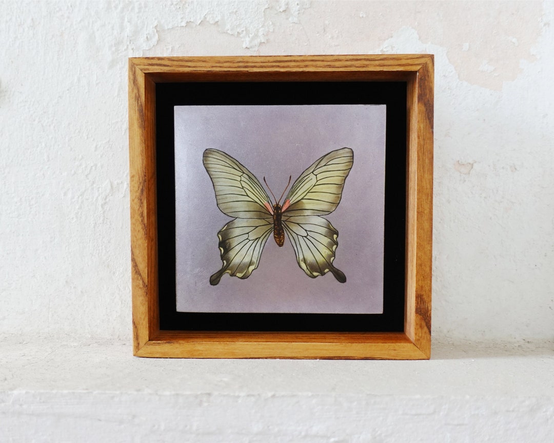 Gilded Butterfly Artwork: Handmade Insect Art, Metal Leaf Decor - Etsy