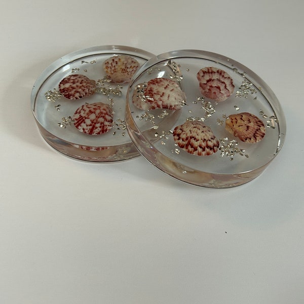 Seashell Coasters - Etsy
