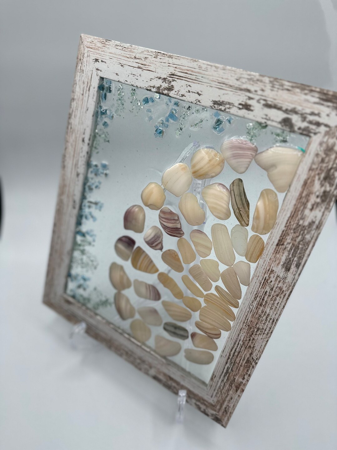 White Shell Frame With Blue and Green Sea Glass Coral - Etsy