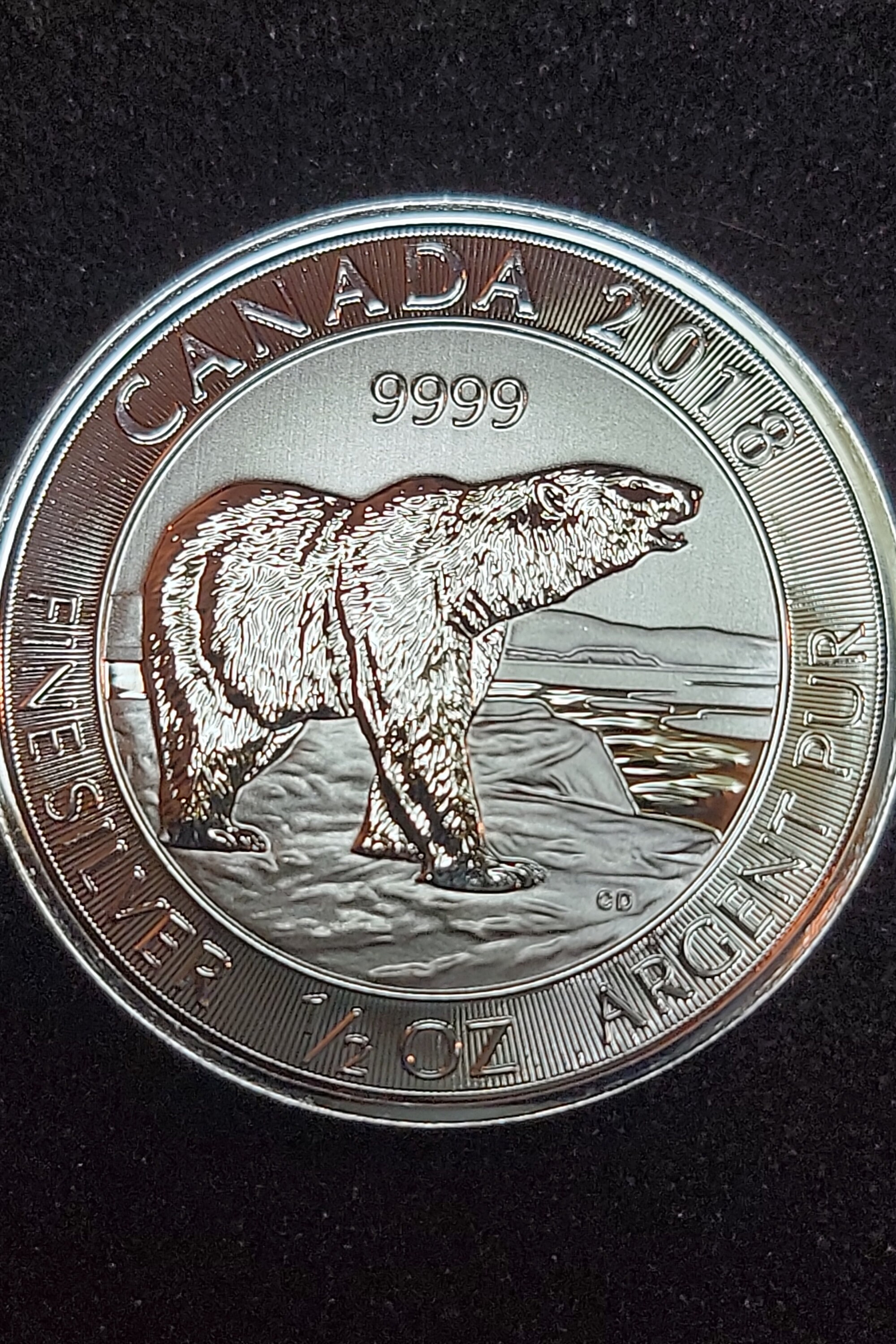 Polar Bear Dollar