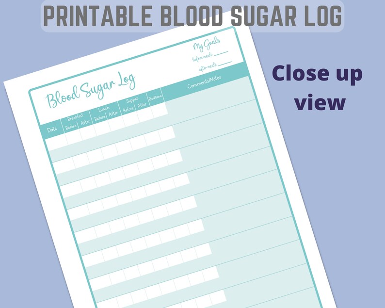 Printable Blood Sugar Tracking Log for Big Happy Planner and Other Full ...