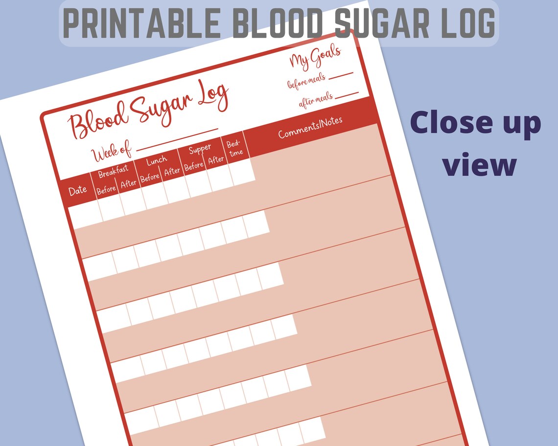 Printable Blood Sugar Tracking Log for Classic Happy Planner and Other ...
