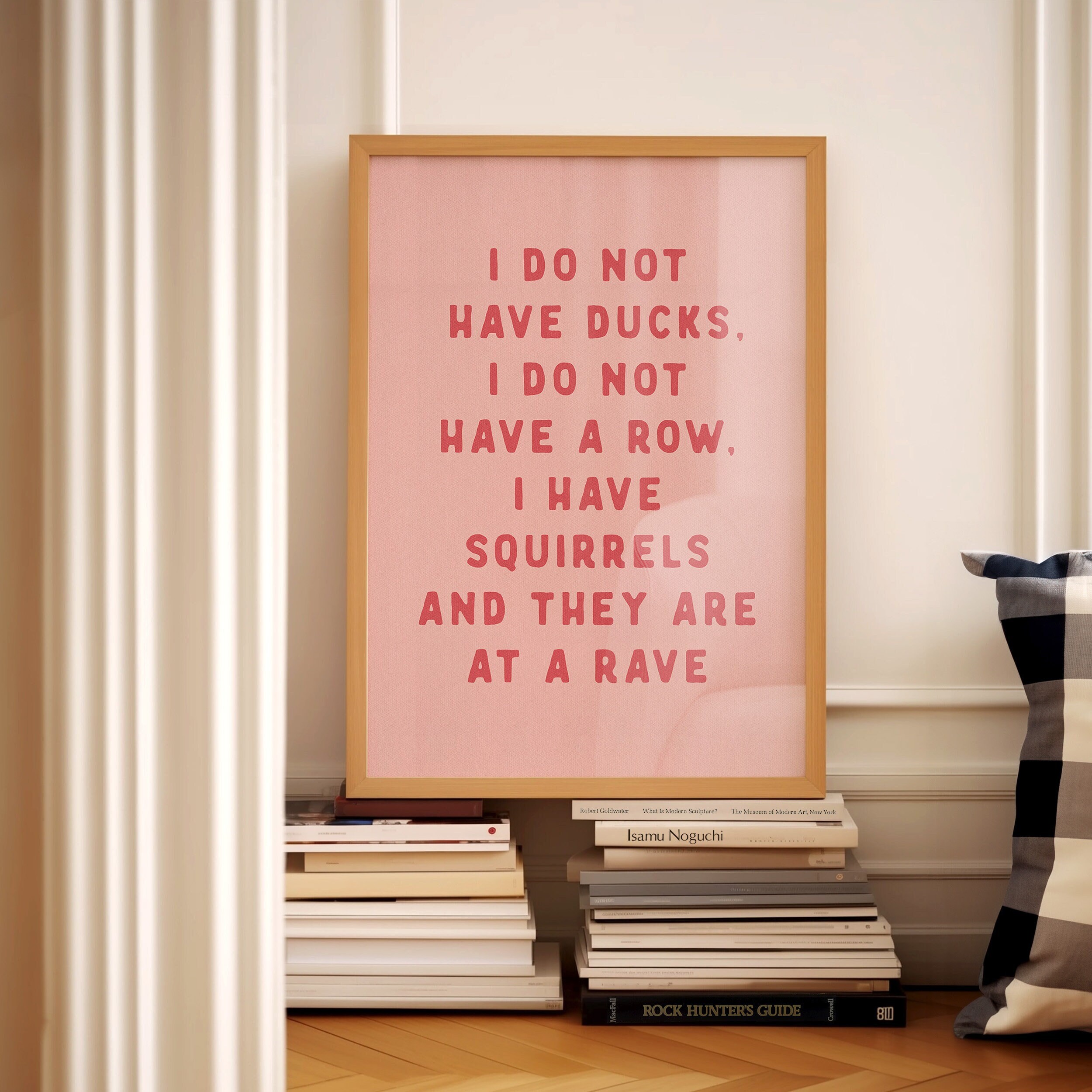 I Do Not Have Ducks Funny Print Pink Red Entryway Hallway Wall Art ...