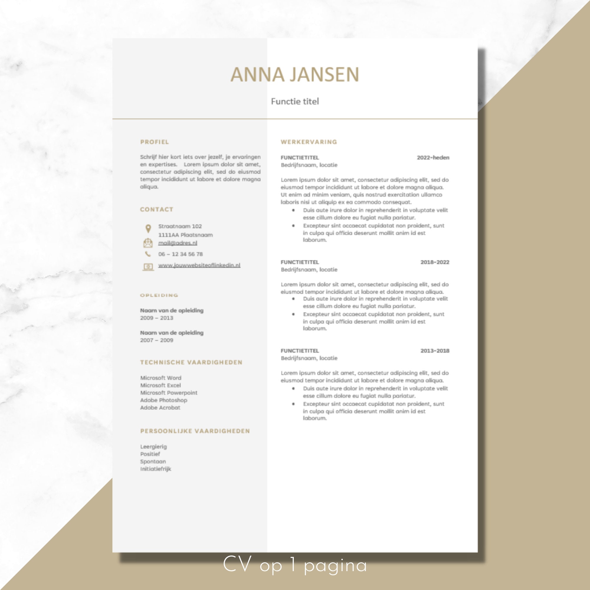 Dutch Resume Template, Dutch Cv Template, Professional, Modern ...