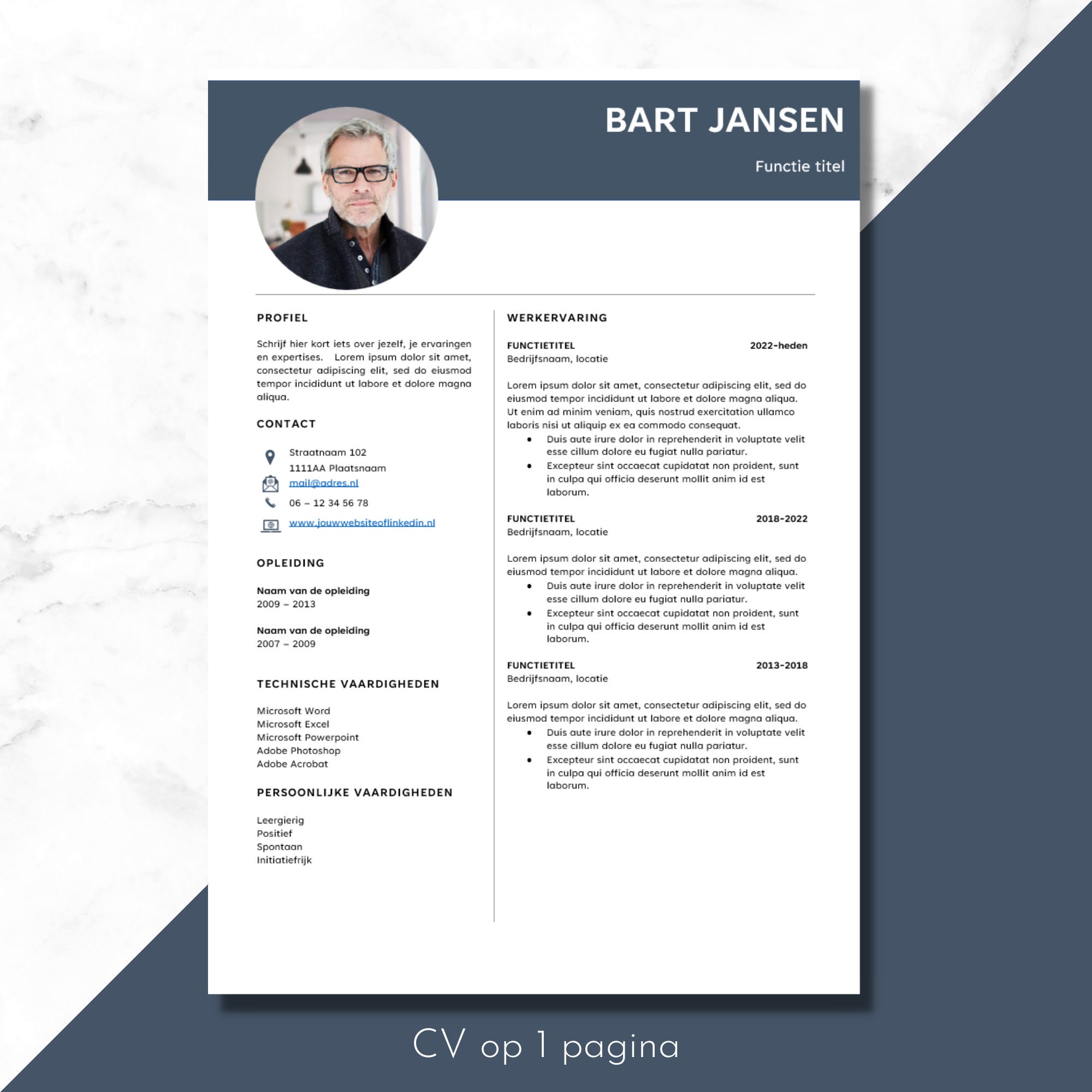 Dutch Resume Template, Dutch Cv Template, Professional, Modern ...