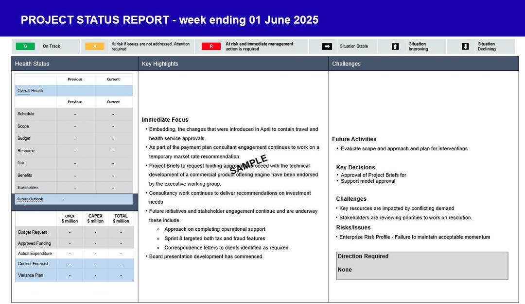 Simple Project Management Status Report - Etsy
