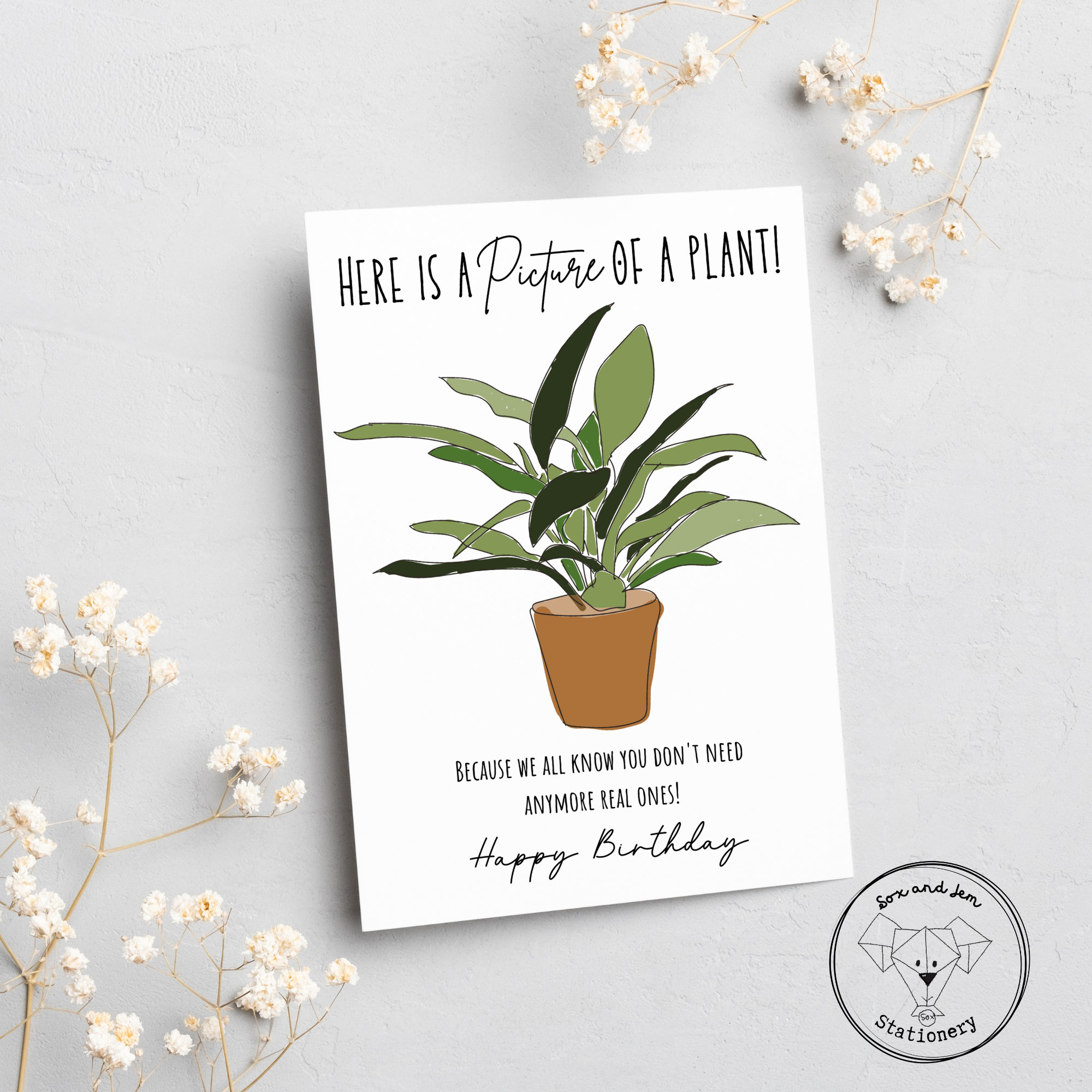 Funny Plant Card | Happy Birthday Card | Illustrated Birthday Card ...