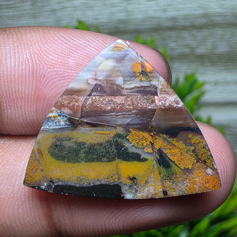 Blue Opalized Multycolor Petrified Wood, Gemsilica Uniqe Motif Rare ...