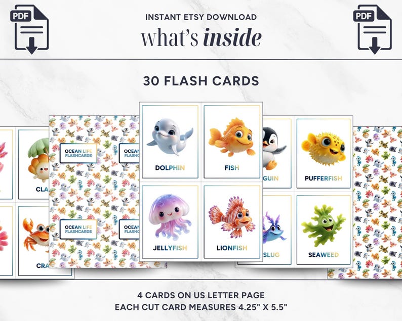 Ocean Animals Discovery Cards | Sea Life Educational Flashcards ...
