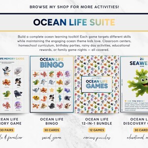 Ocean Animals Discovery Cards | Sea Life Educational Flashcards ...