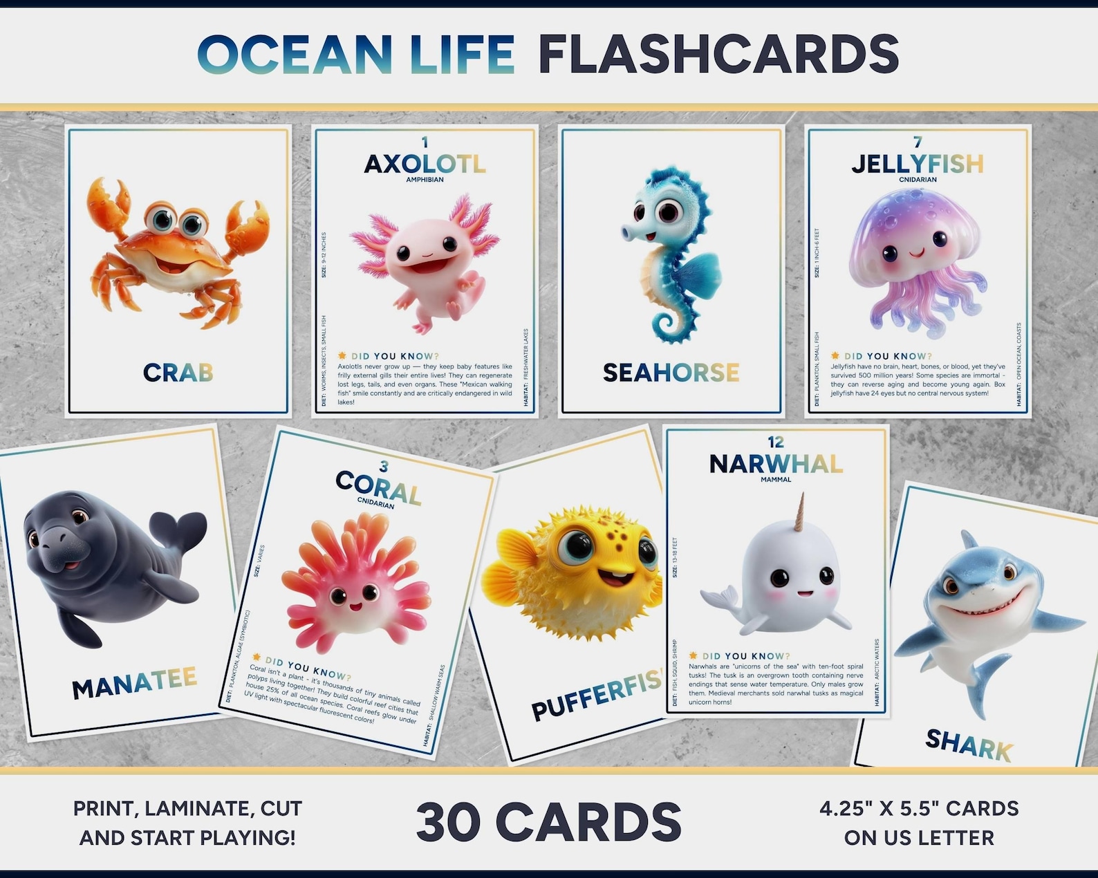 Ocean Animals Discovery Cards | Sea Life Educational Flashcards ...