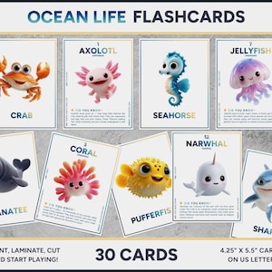 Ocean Animals Discovery Cards | Sea Life Educational Flashcards ...