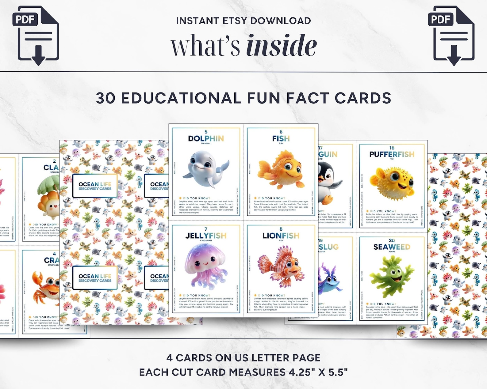 Ocean Animals Discovery Cards | Sea Life Educational Flashcards ...