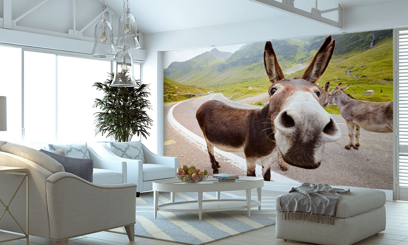 Crazy Donkey Wallpaper Mural Custom Made Wallpaper for Any - Etsy