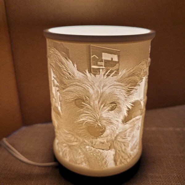 Lithophane Lamp - Etsy