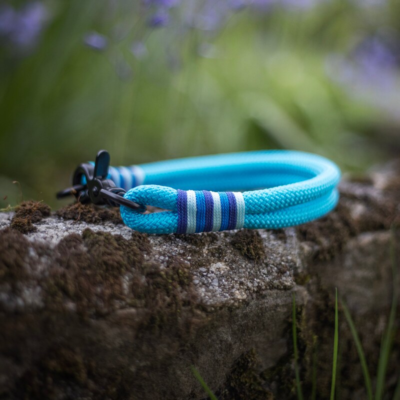 Rope Dog Collar - Etsy