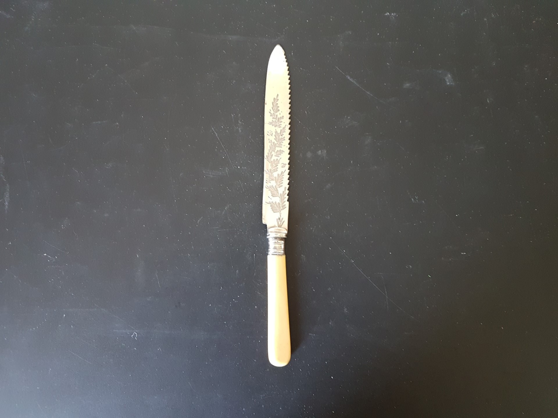 EPNS Faux Bone Handled Decorative Cake/ Bread Knife 10 Inches - Etsy