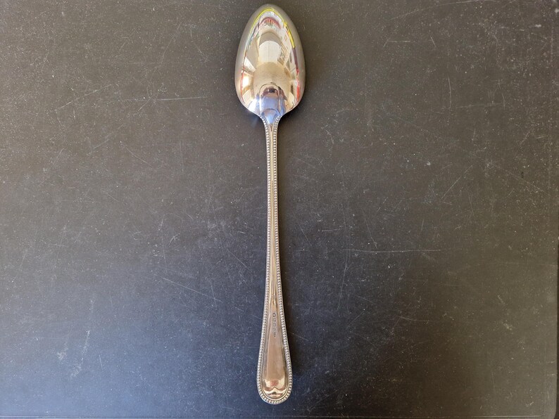 Magnificent Vintage EPNS Bead Pattern Serving Spoon X 1 13.5 Inches - Etsy