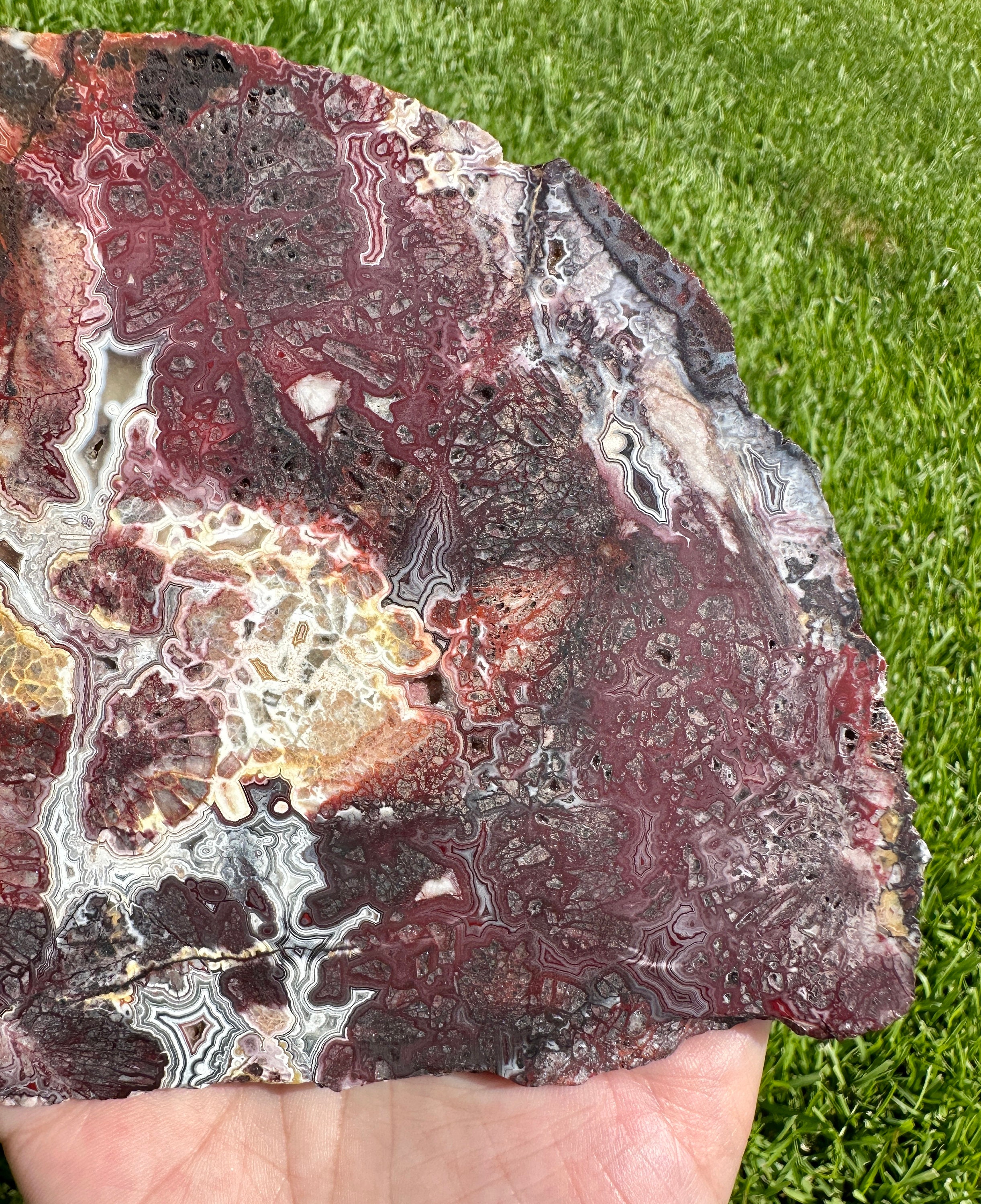 Gorgeous Mexican Crazy Lace Agate Slab Sparkly Druzy Pockets Raw Edge ...