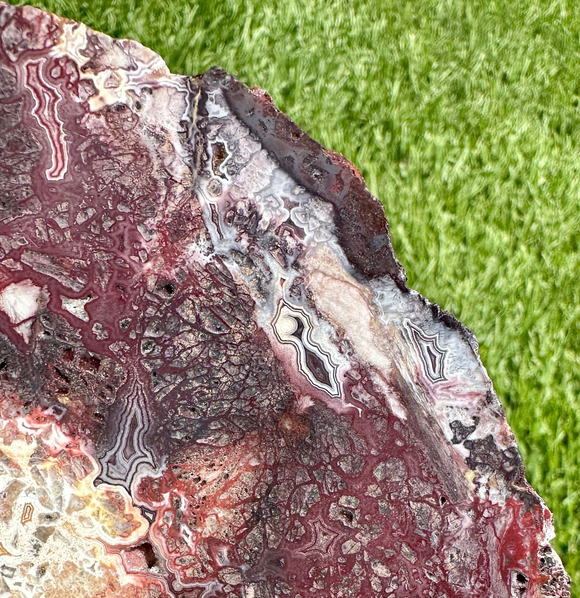 Gorgeous Mexican Crazy Lace Agate Slab Sparkly Druzy Pockets Raw Edge ...