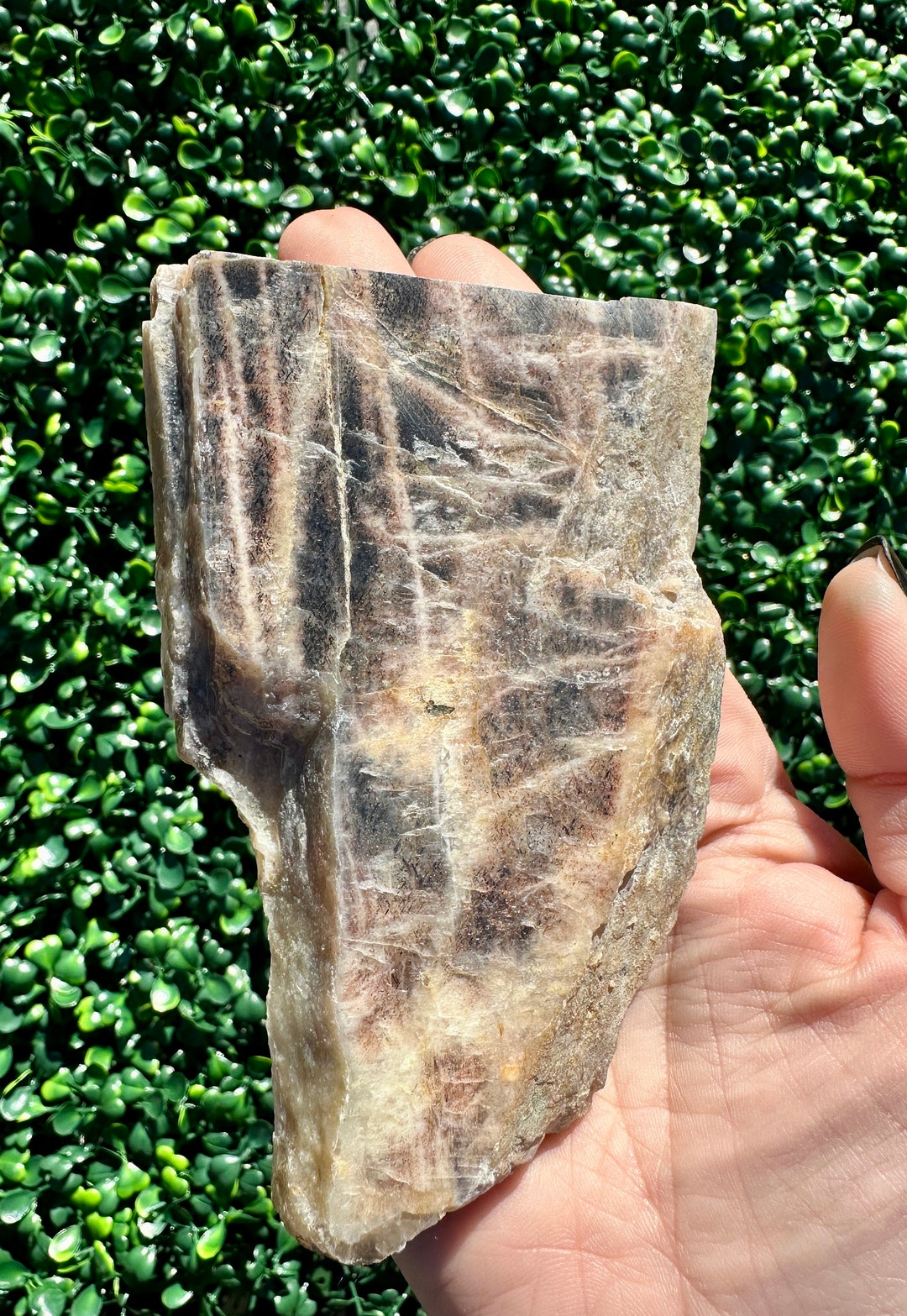 RARE Rainbow Lattice Sunstone Polished Slab confetti Stone Natural ...