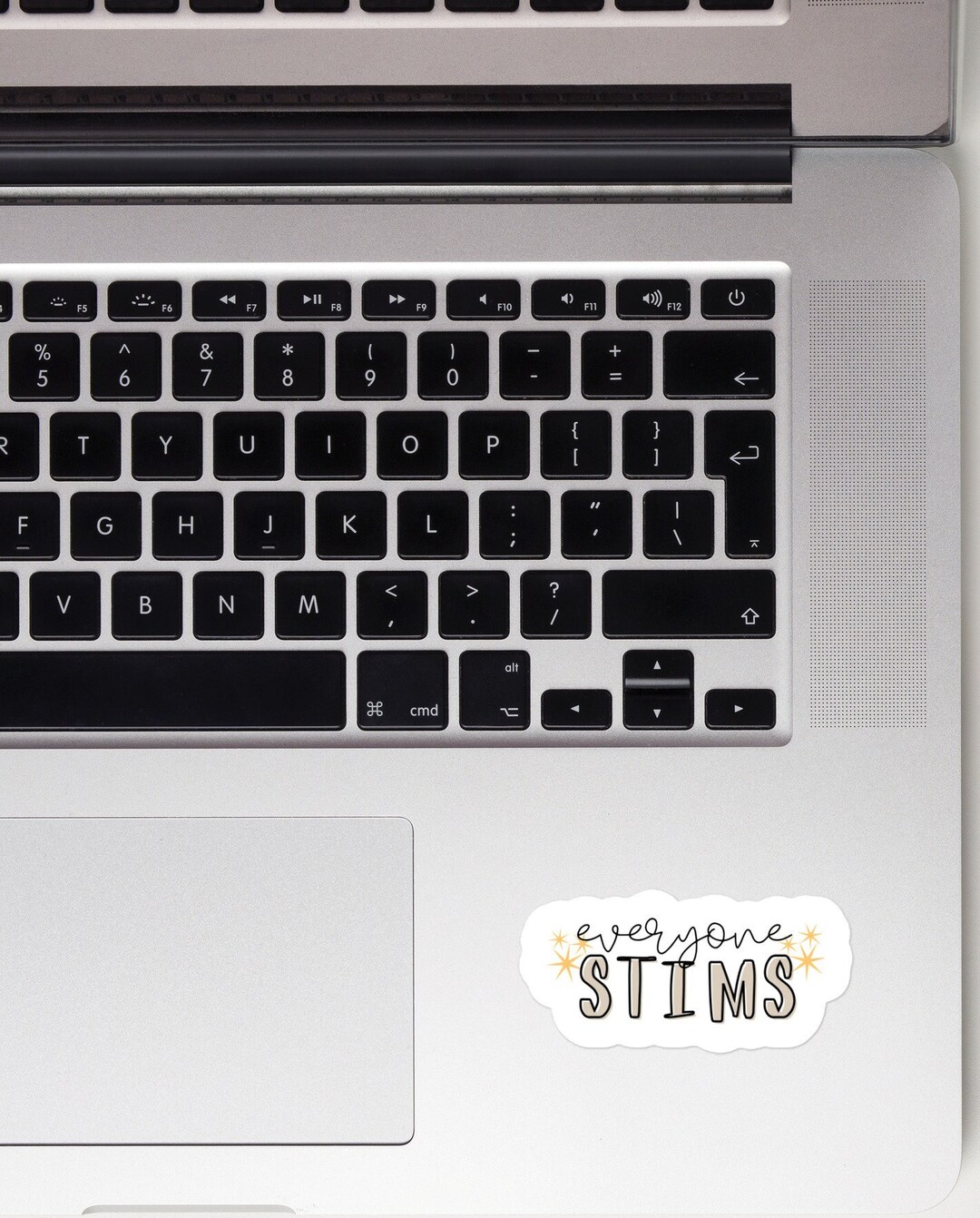 Everyone Stims, Occupational Therapy Sticker, OT Sticker, OT Gift ...