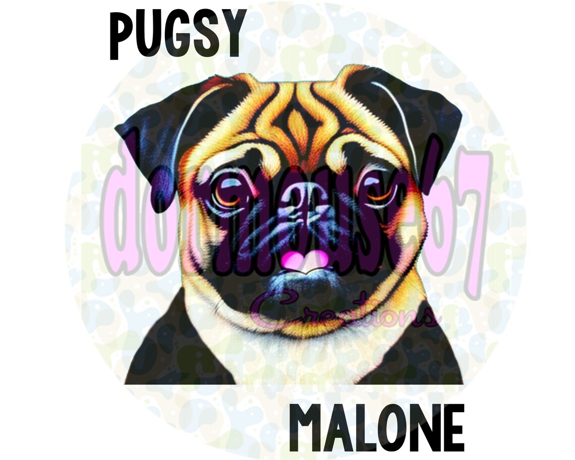 Pug Dog PNG, Funny Dog Meme, Pug Mugshot, Funny Pug, Pug Dog Drawing ...