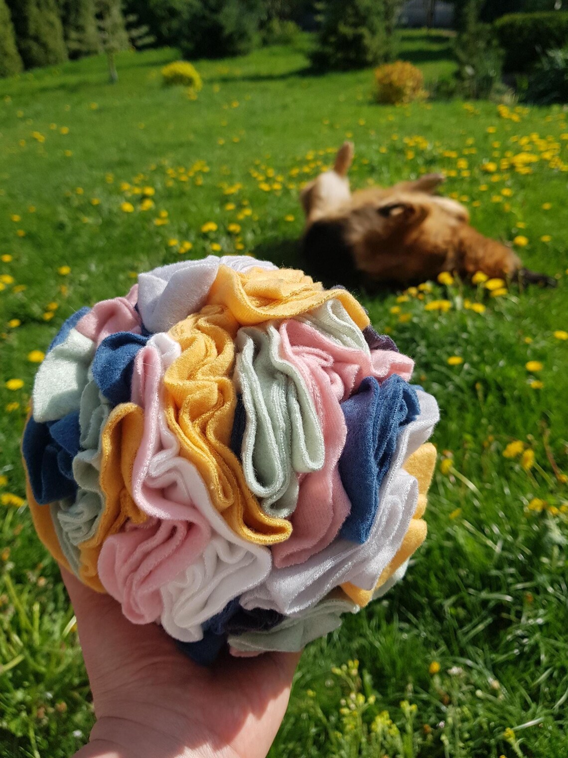 Snuffle Ball, Nosework, Dog Toy, Interactie Toy for Dog, Custom Dog Toy ...