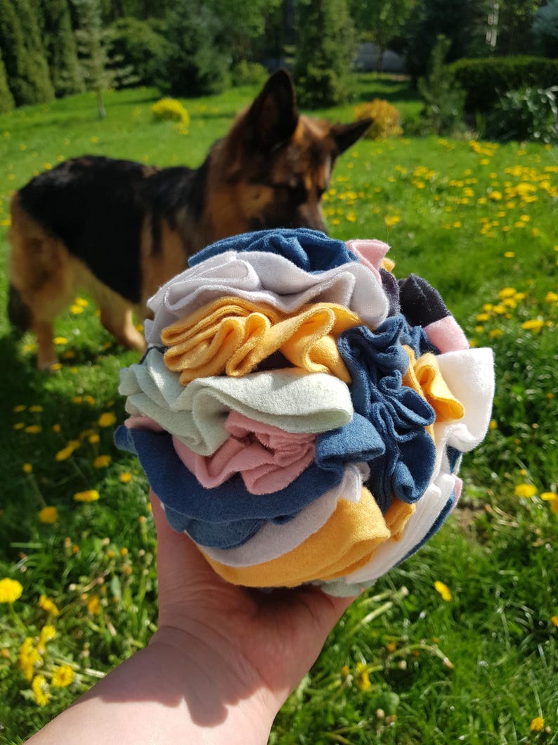 Snuffle Ball, Nosework, Dog Toy, Interactie Toy for Dog, Custom Dog Toy ...