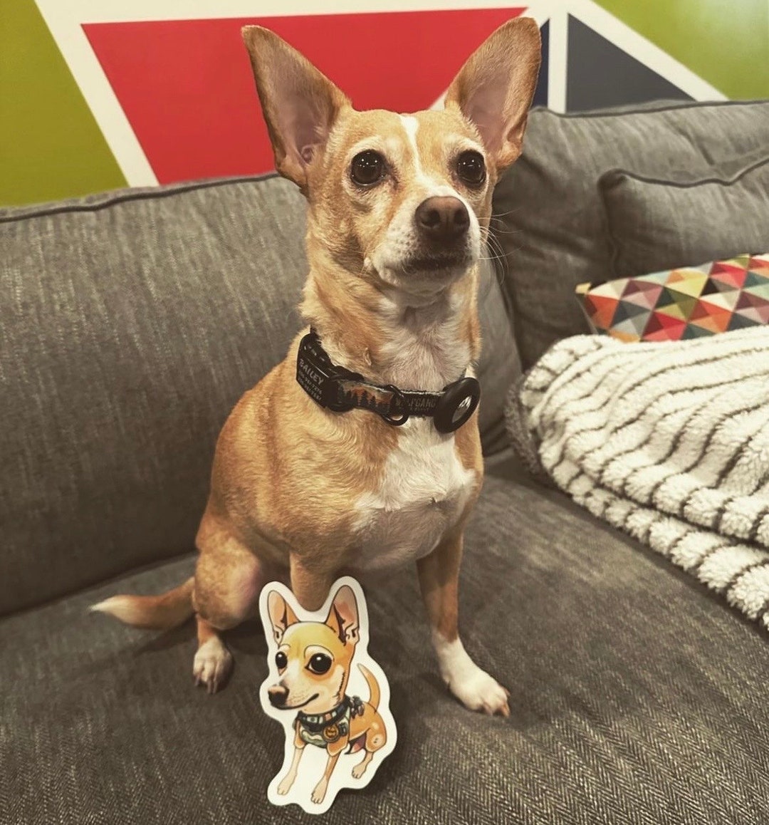 Bailey the Dog Custom Die-cut Sticker Laptop Sticker Water Bottle ...