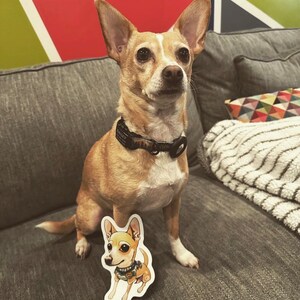 Bailey the Dog Custom Die-cut Sticker Laptop Sticker Water Bottle ...