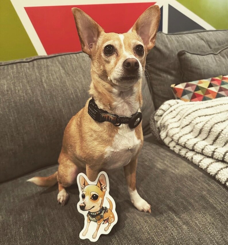 Bailey the Dog Custom Die-cut Sticker Laptop Sticker Water - Etsy