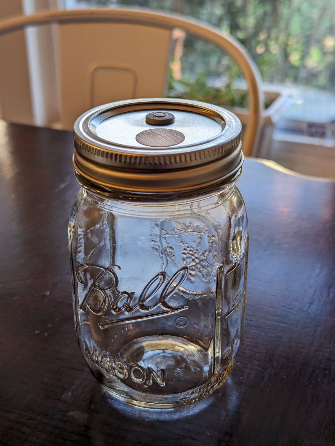 12 Pack Mason Jar Injection Port Lid for Mycology Mushroom Growth grain ...