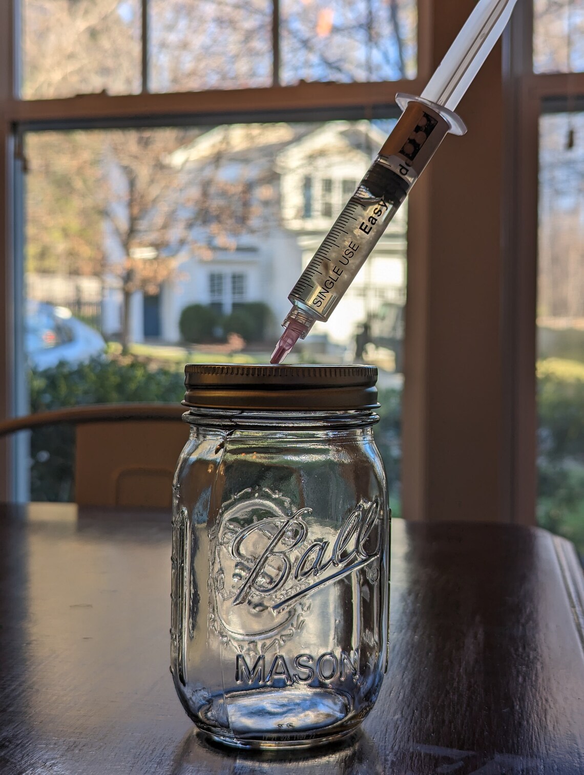 12 Pack Mason Jar Injection Port Lid for Mycology Mushroom Growth grain ...