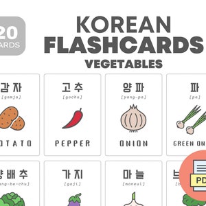 Korean Vegetable Flashcards Learn Korean Language - Etsy