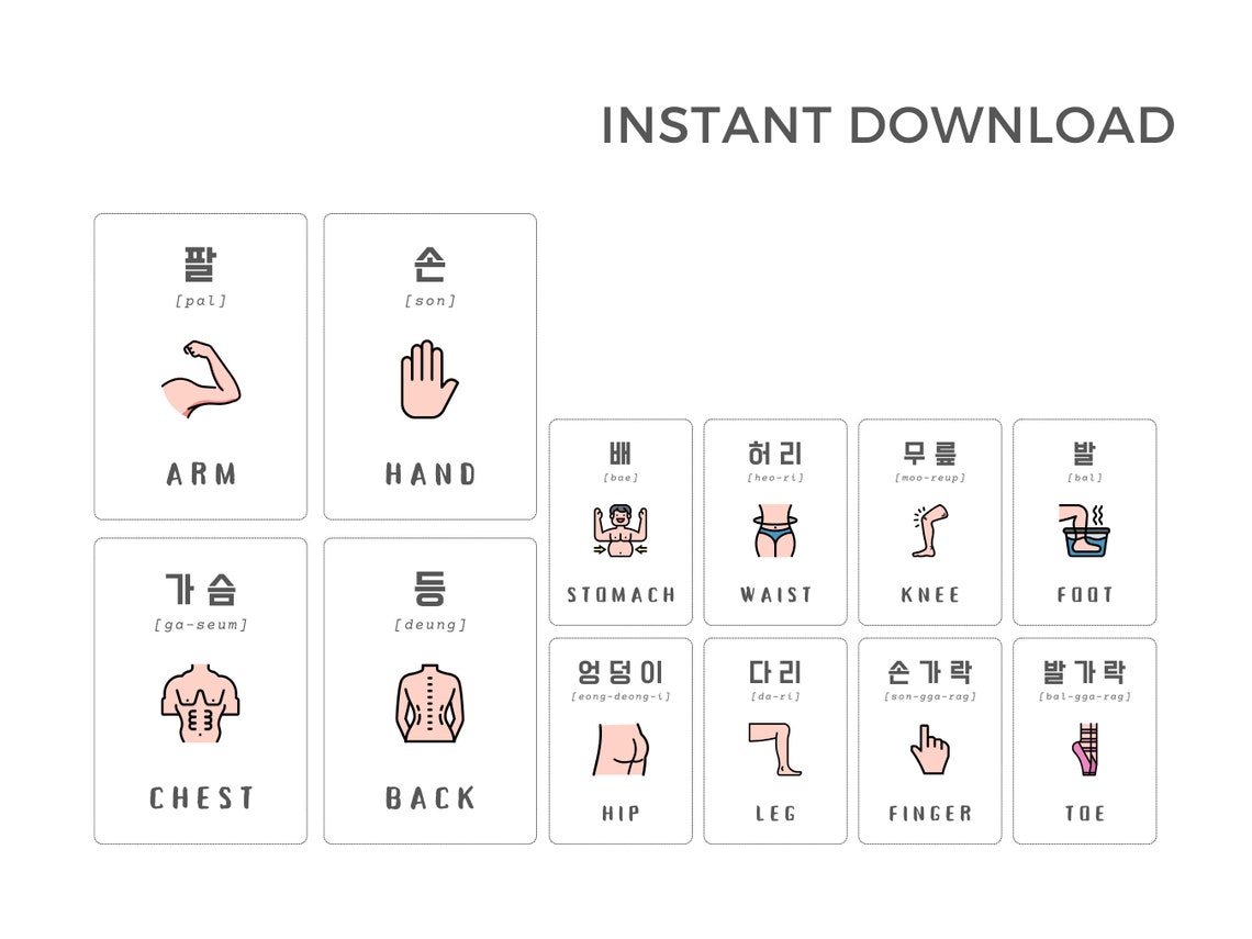 Korean Body Parts Flashcards Learn Korean Language Educational ...