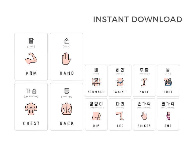 Korean Body Parts Flashcards Learn Korean Language Educational ...