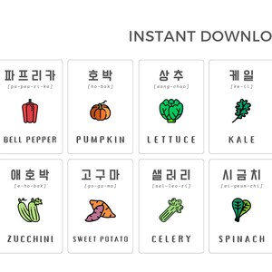 Korean Vegetable Flashcards | Learn Korean Language | Educational ...