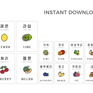 Korean Fruit Flashcards Learn Korean Language Educational Printable ...
