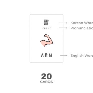 Korean Body Parts Flashcards Learn Korean Language Educational ...