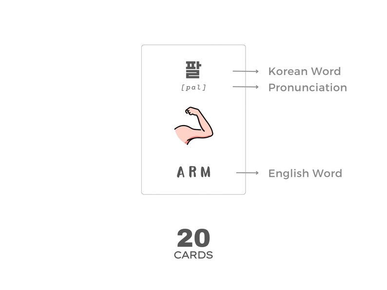 Korean Body Parts Flashcards Learn Korean Language Educational ...