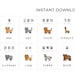 Korean Animal Flashcards | Learn Korean Language | Educational ...