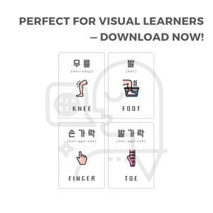 Korean Body Parts Flashcards | Learn Korean Language | Educational ...