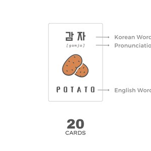 Korean Vegetable Flashcards Learn Korean Language - Etsy